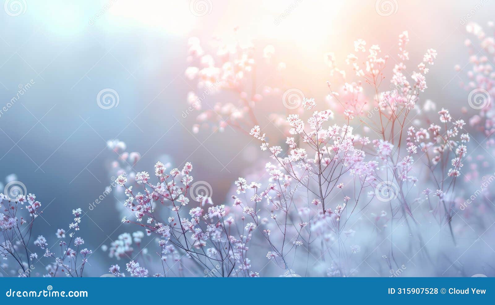 Subtle Pastel Gradients Offering a Delicate and Enchanting Display ...