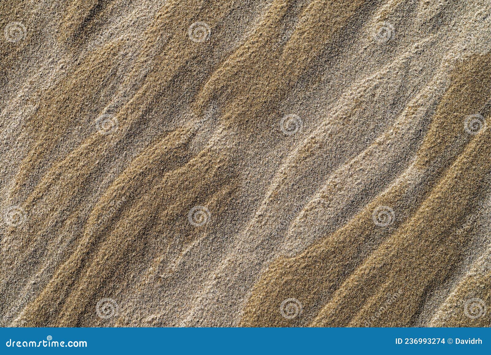 Subtle Patterns in Sand Dunes on the Pacific Coast Near Lakeside ...