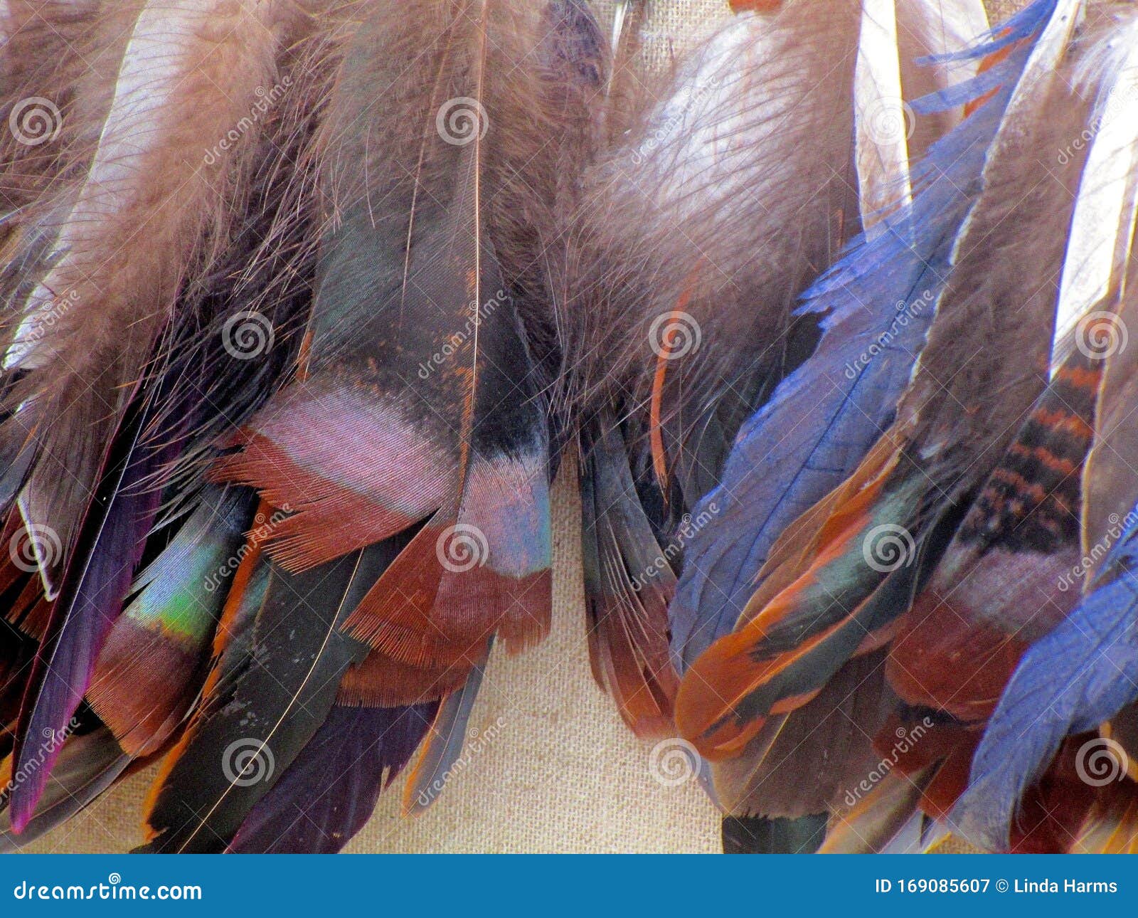 Feathers Floating in a Breeze Stock Image - Image of fabrics ...