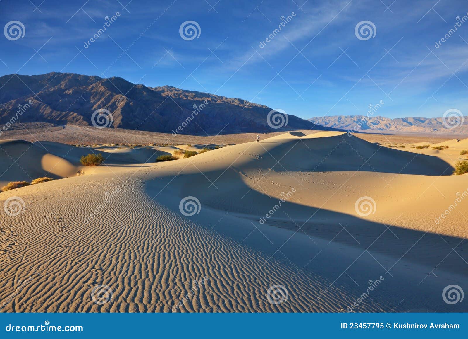 The Subtle Ripples in the Sand Stock Image - Image of nature, white ...