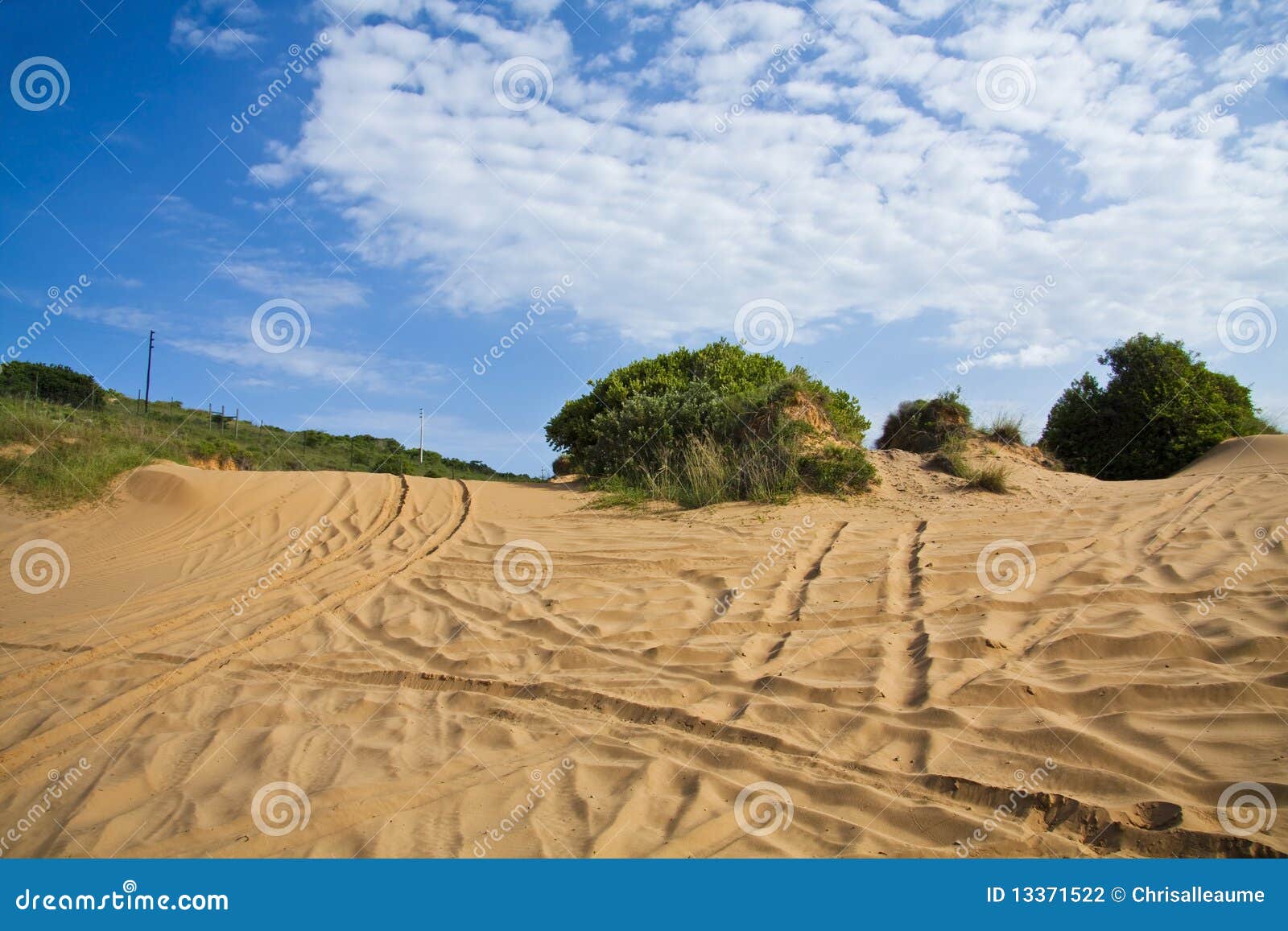 Subtropical Beach dunes stock photo. Image of nature - 13371522