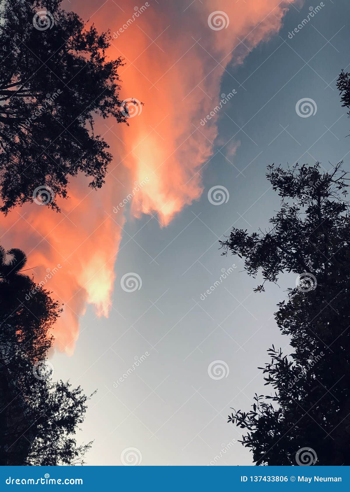 Suburb sunset stock photo. Image of scenery, clouds - 137433806