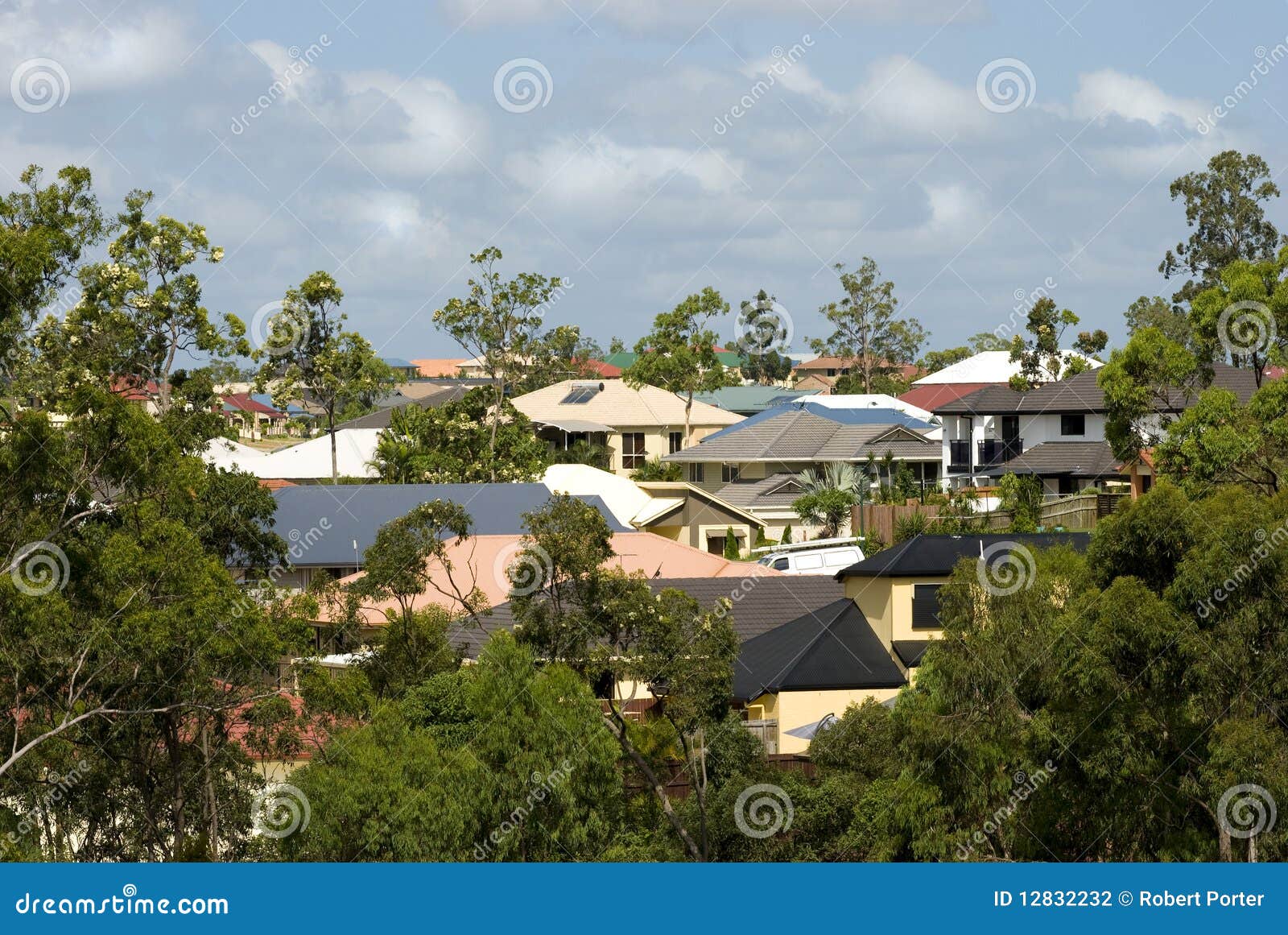Suburb in the Trees stock photo. Image of live, brick - 12832232