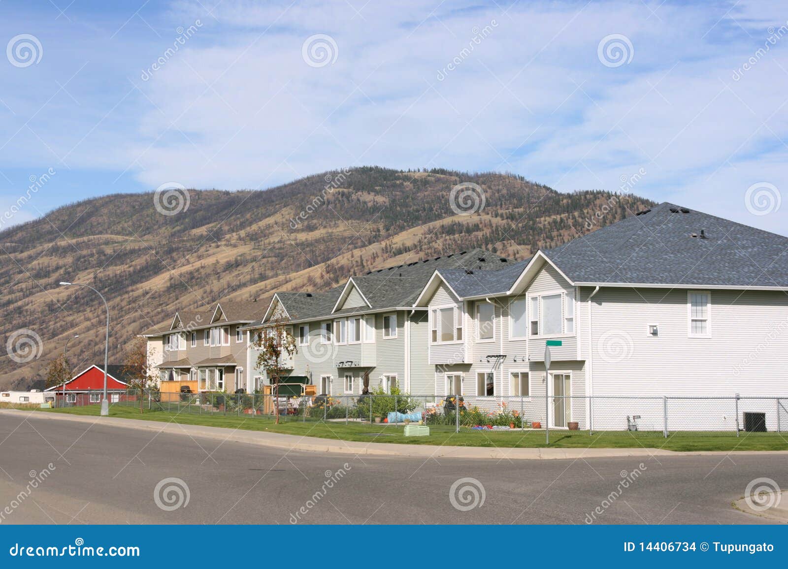 Suburban area stock photo. Image of residential, street - 14406734