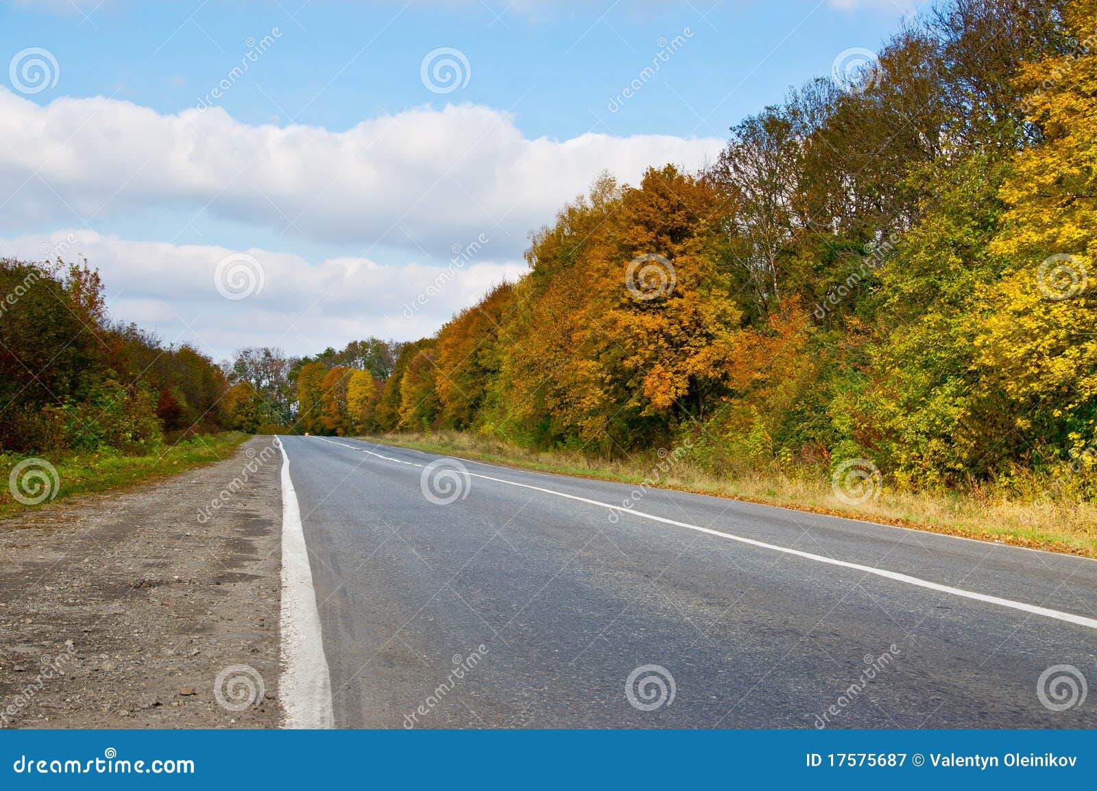 Suburban Autumn Fall Road at Sunny Day Stock Image - Image of plant ...