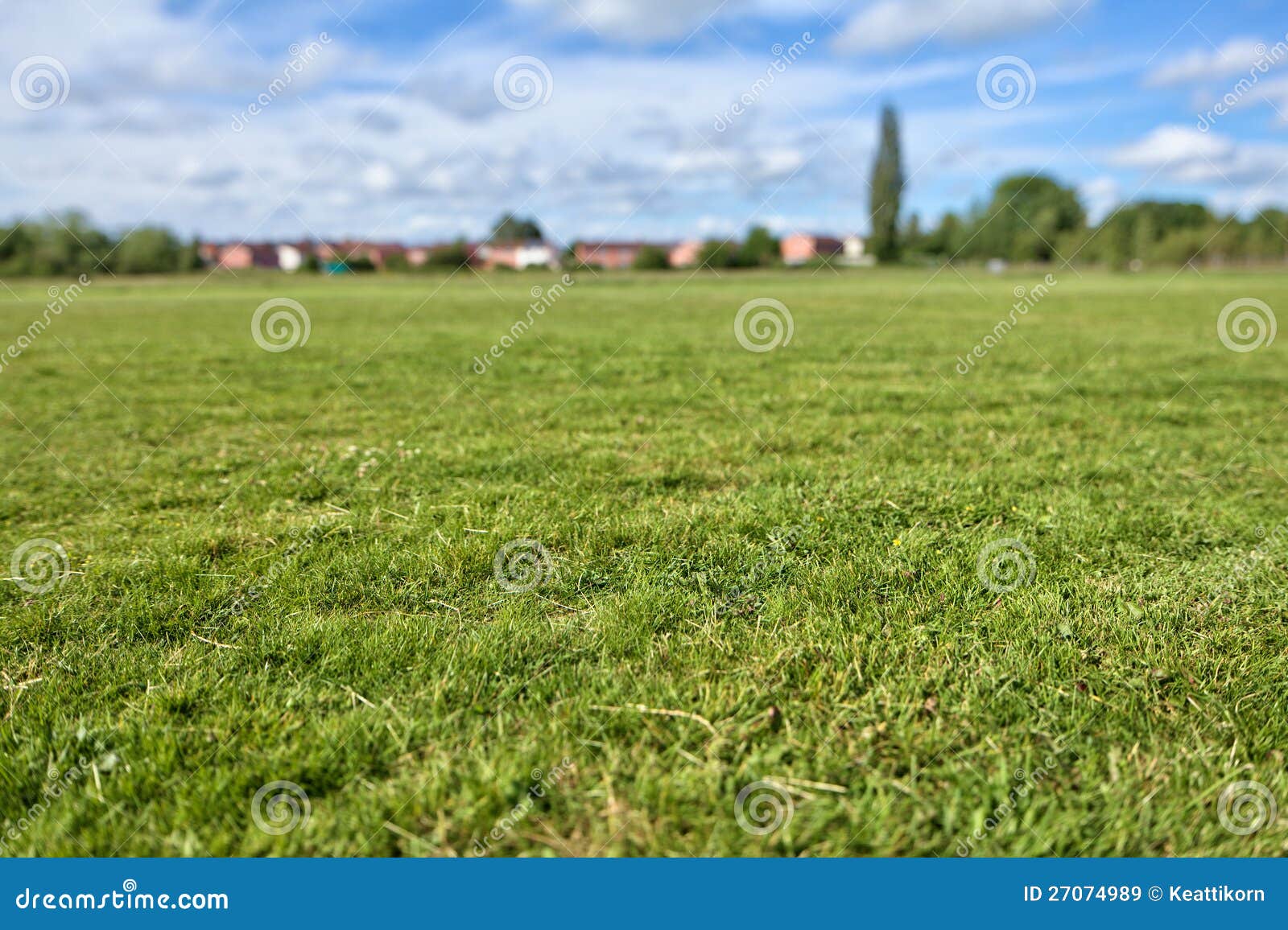 Suburban field stock image. Image of golf, home, detail - 27074989