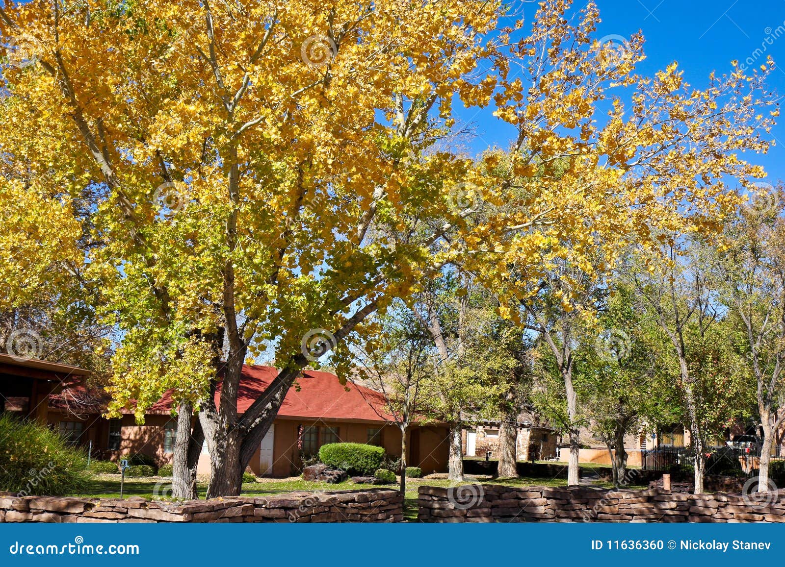 Suburban Homes in Autumn stock photo. Image of stone - 11636360