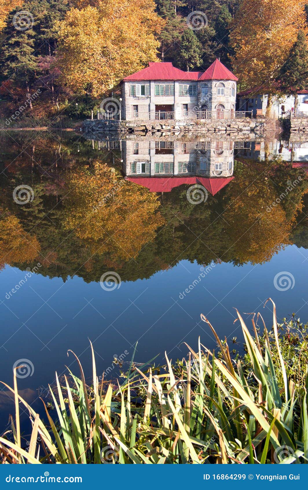 Suburban landscape stock image. Image of fall, forest - 16864299