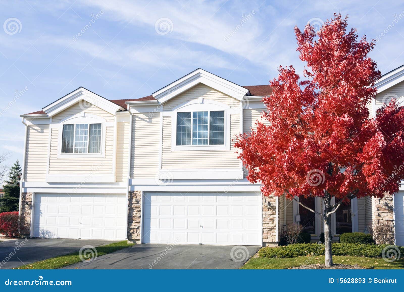 Suburban life stock image. Image of bird, luxury, estate - 15628893