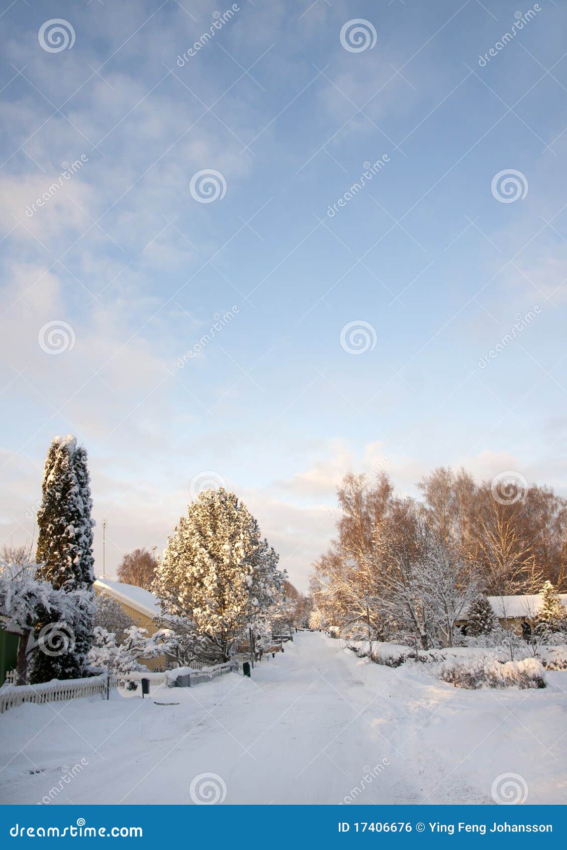 Suburban road in winter stock photo. Image of snow, climate - 17406676