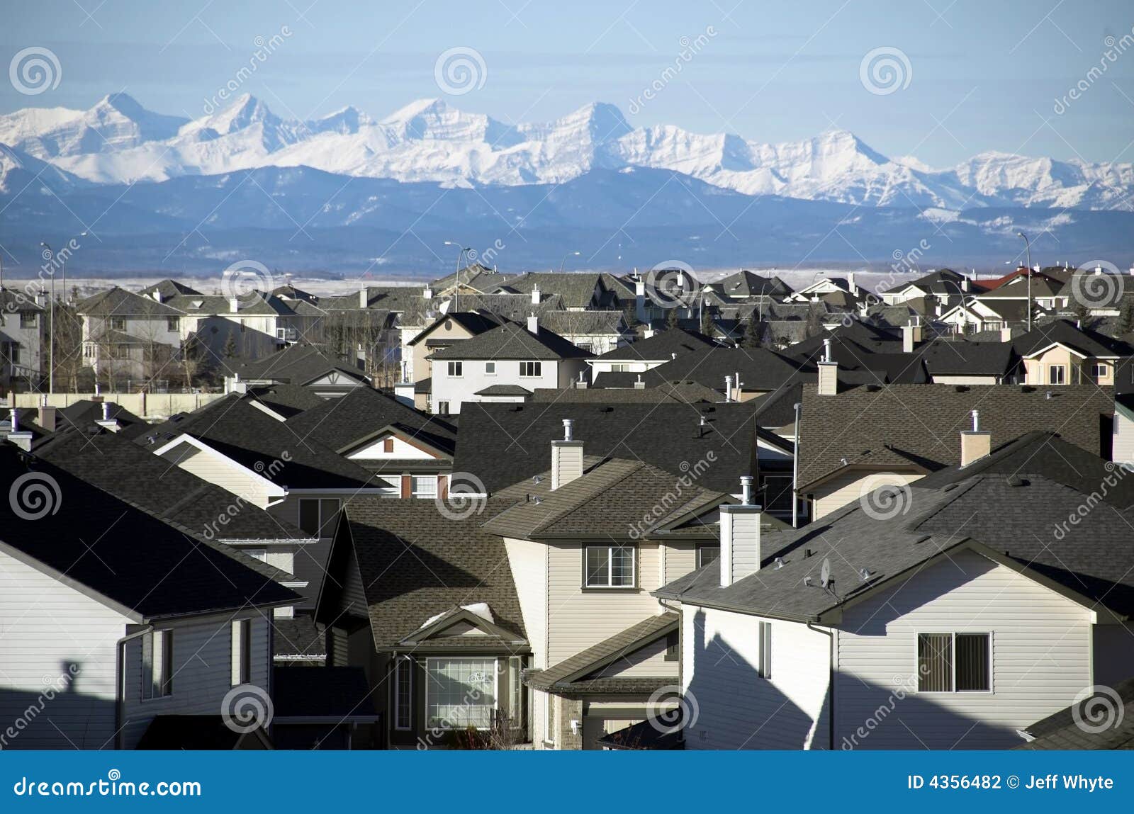 Suburban roof tops stock photo. Image of urban, canada - 4356482