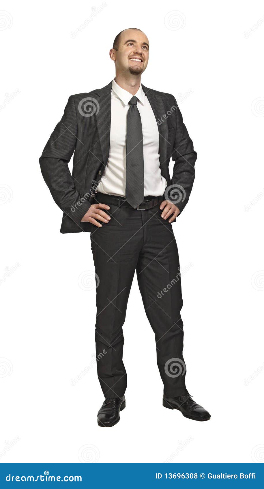 Succesfull man stock photo. Image of person, portrait - 13696308