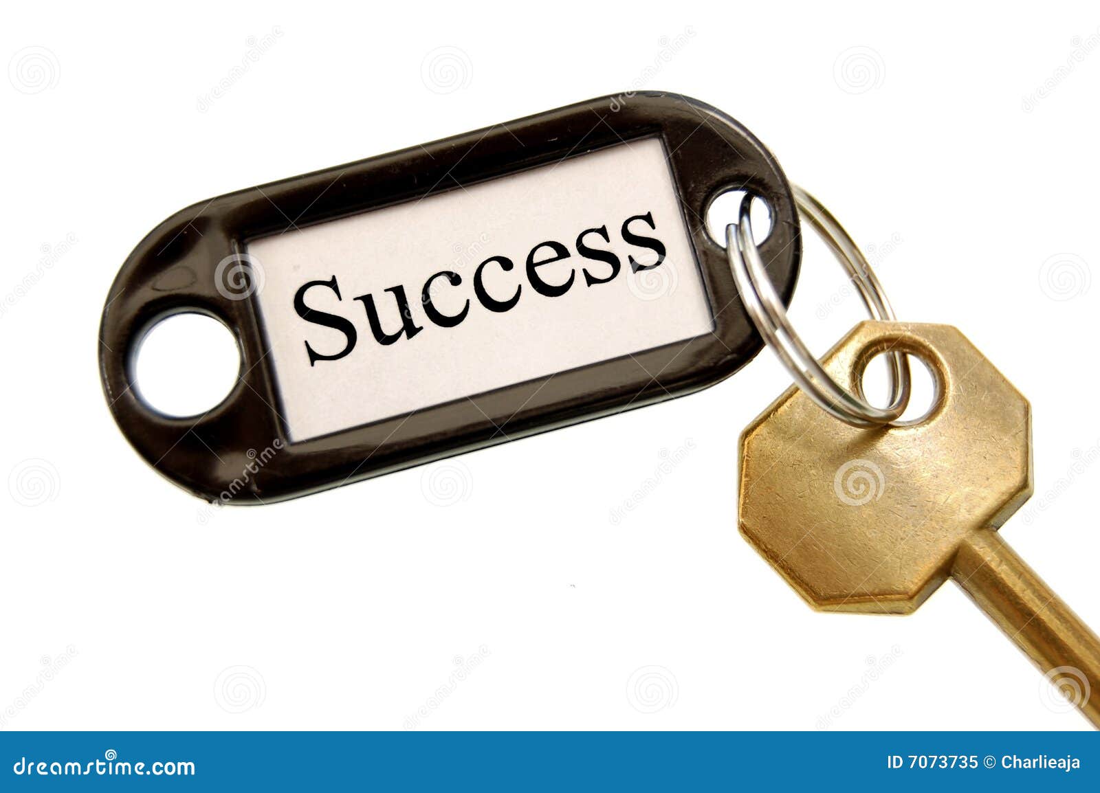 Success stock image. Image of doors, goals, keyring, potential - 7073735