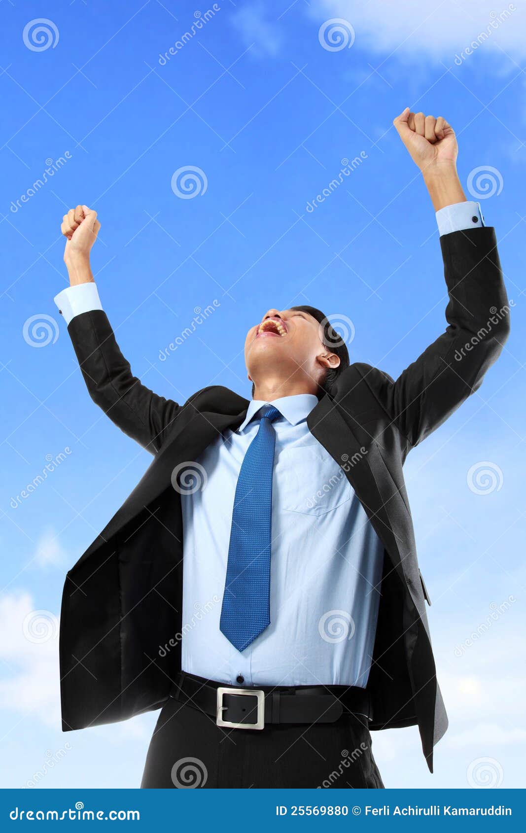 Success business man stock photo. Image of copyspace - 25569880