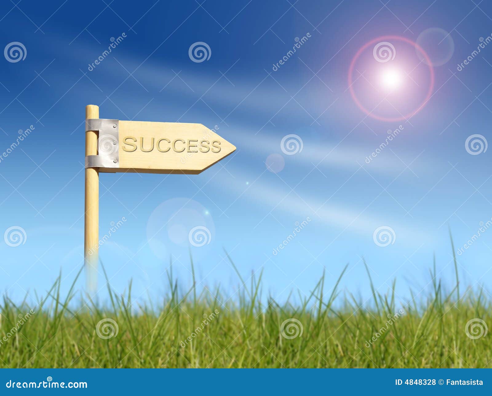 Success Direction Sign Under Sun Stock Photo - Image of concept, path ...