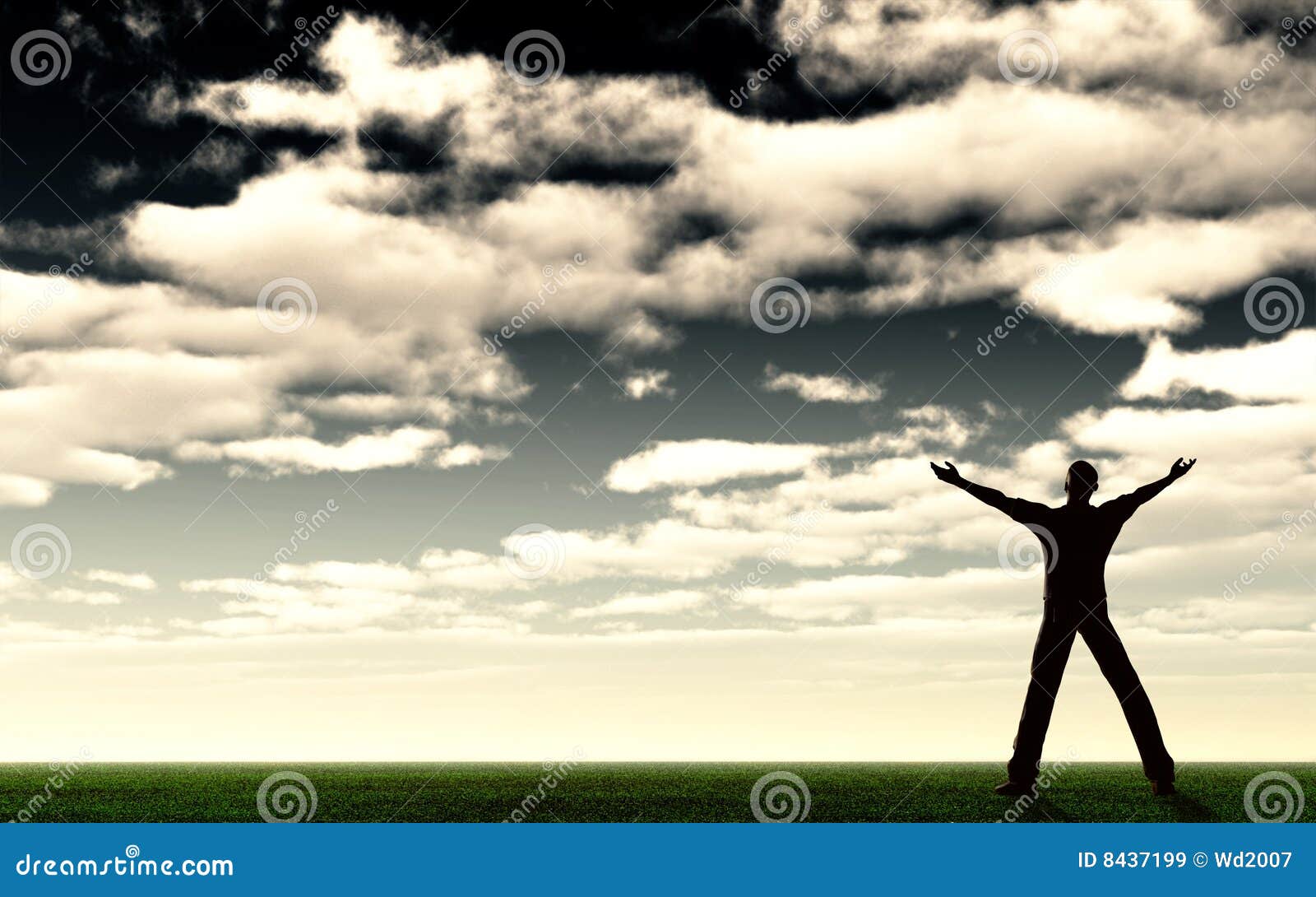 Success and Freedom Expression on the Nature Stock Illustration ...