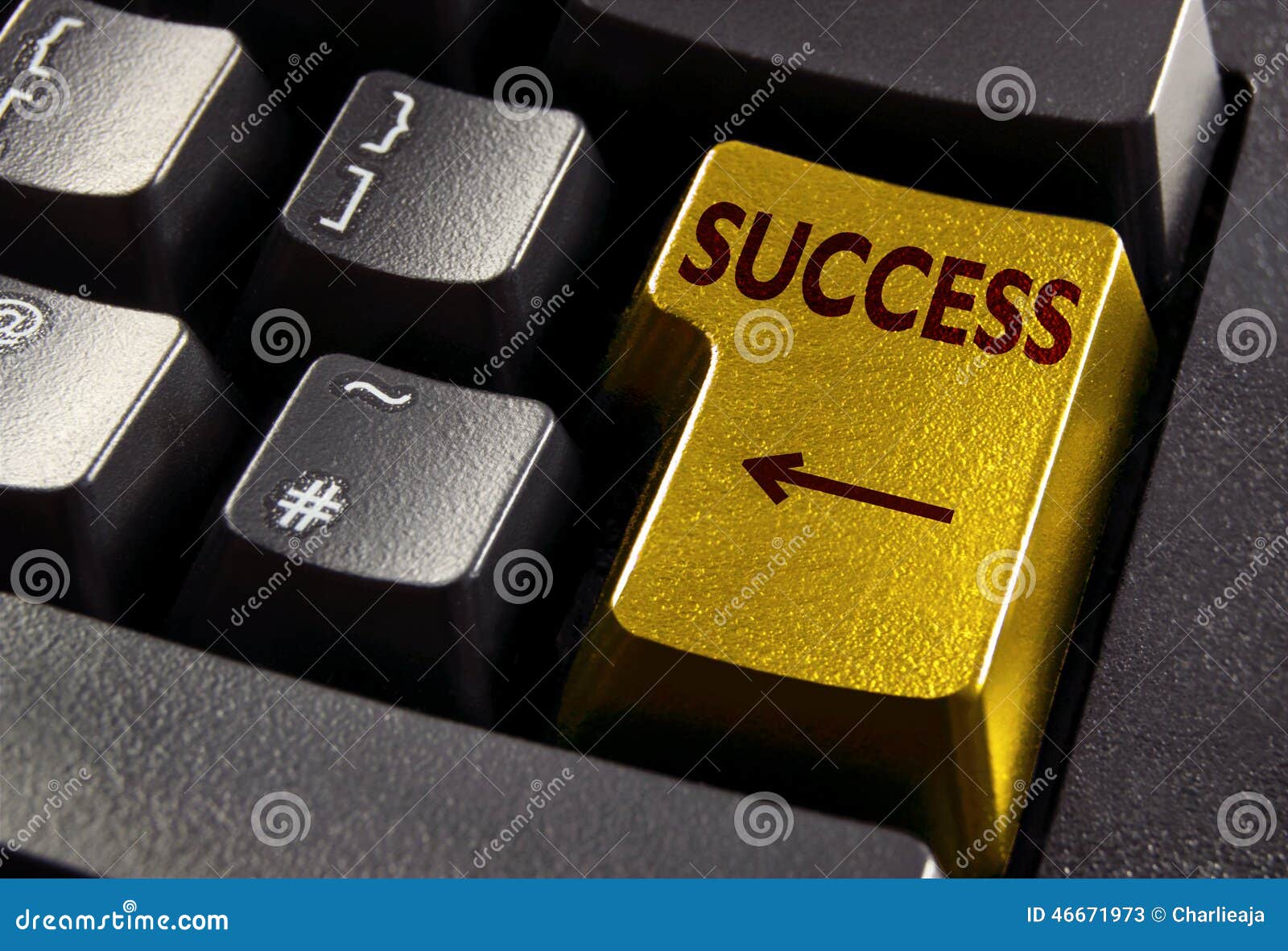 Success stock image. Image of retail, work, success, online - 46671973