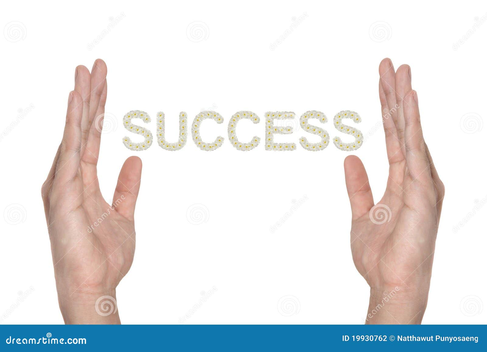Success in hand isolated stock photo. Image of help, concepts - 19930762