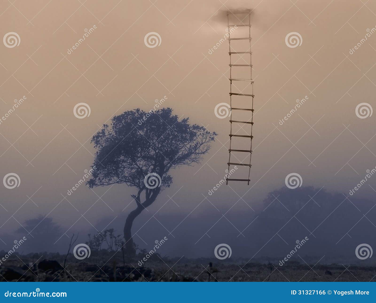 Success, Ladder, Concept stock illustration. Illustration of ascend ...