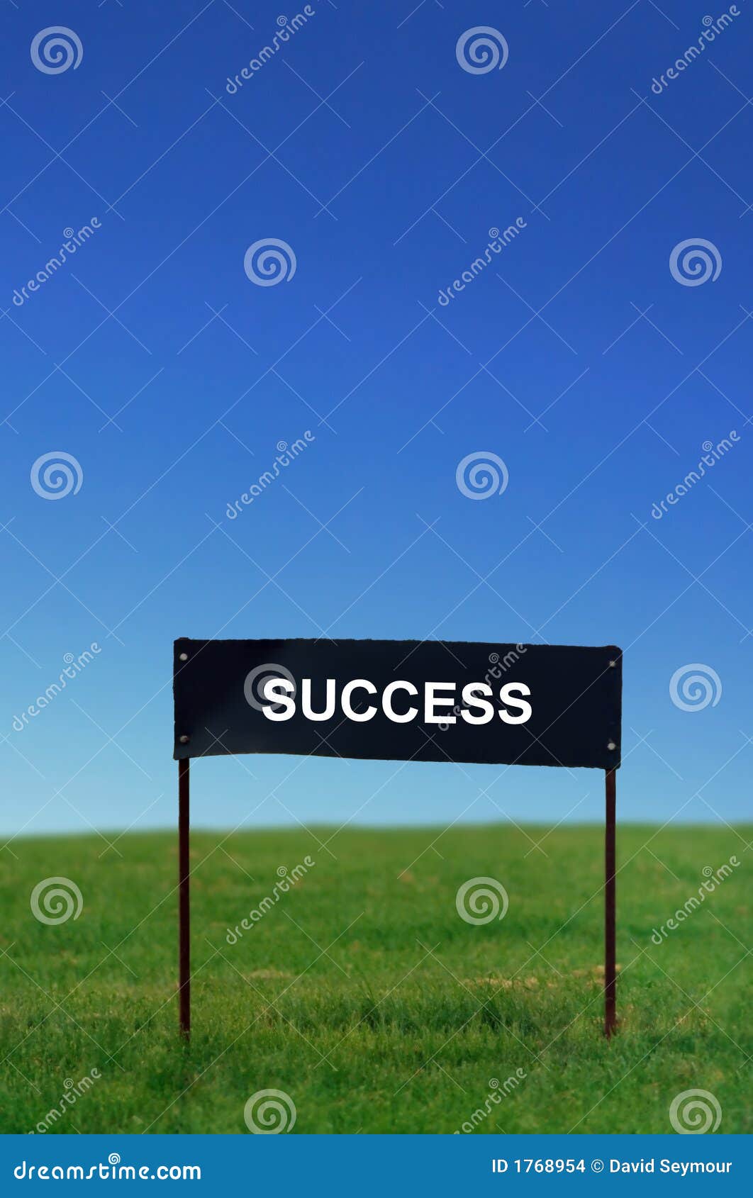 Success sign stock photo. Image of money, accomplishment - 1768954