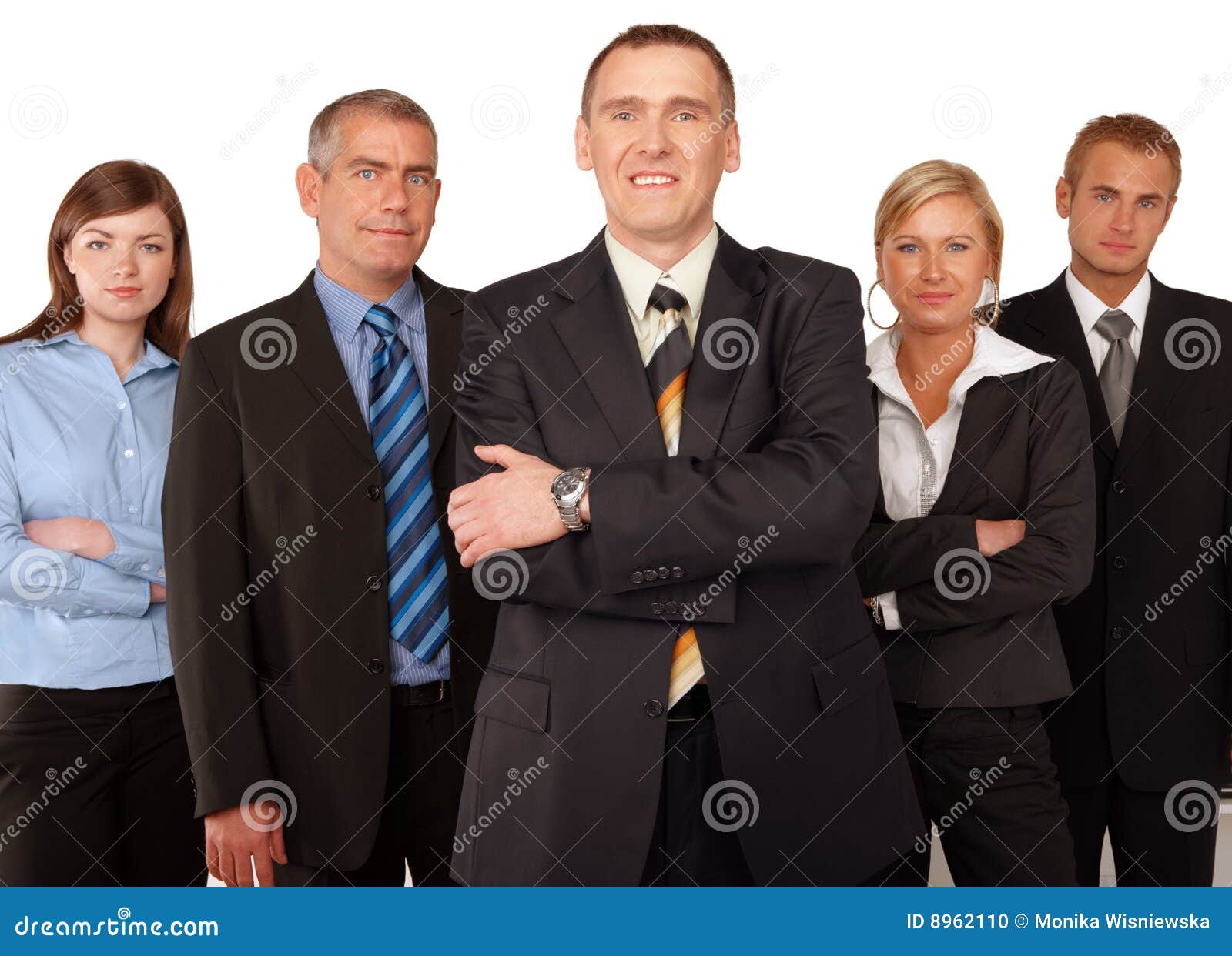 Successful business group stock photo. Image of senior - 8962110