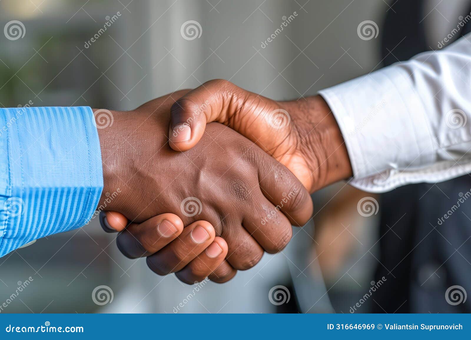 A Successful Business Handshake between Two Professionals in a ...