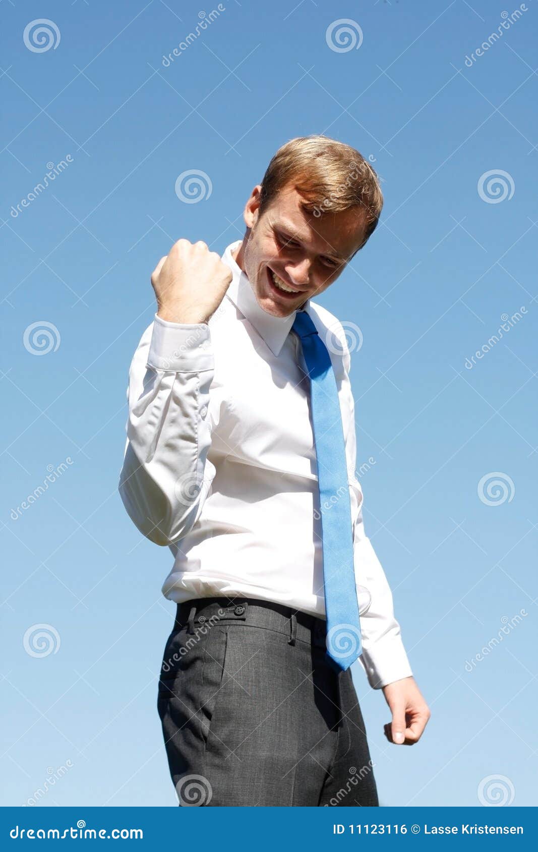 Successful business man stock photo. Image of male, professional - 11123116