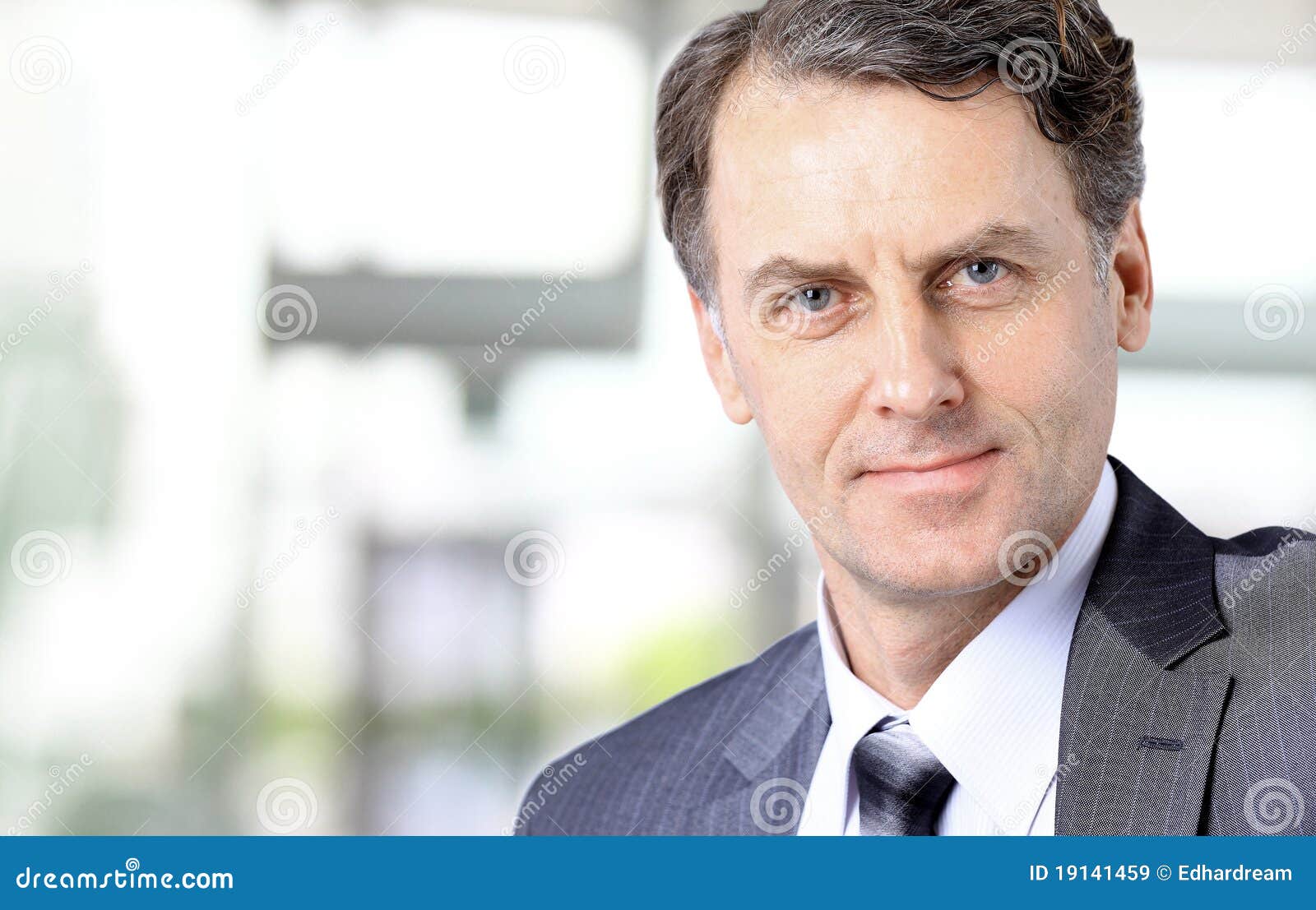 Successful business man stock image. Image of discuss - 19141459