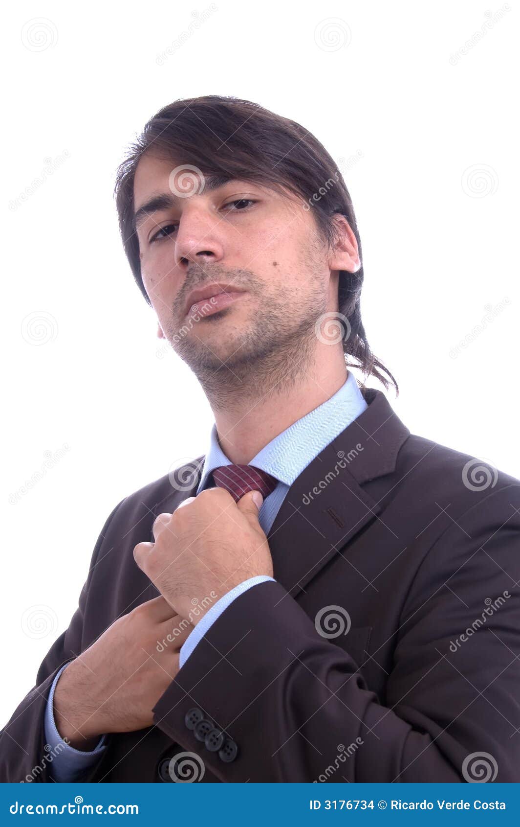 Successful business man stock photo. Image of masculine - 3176734