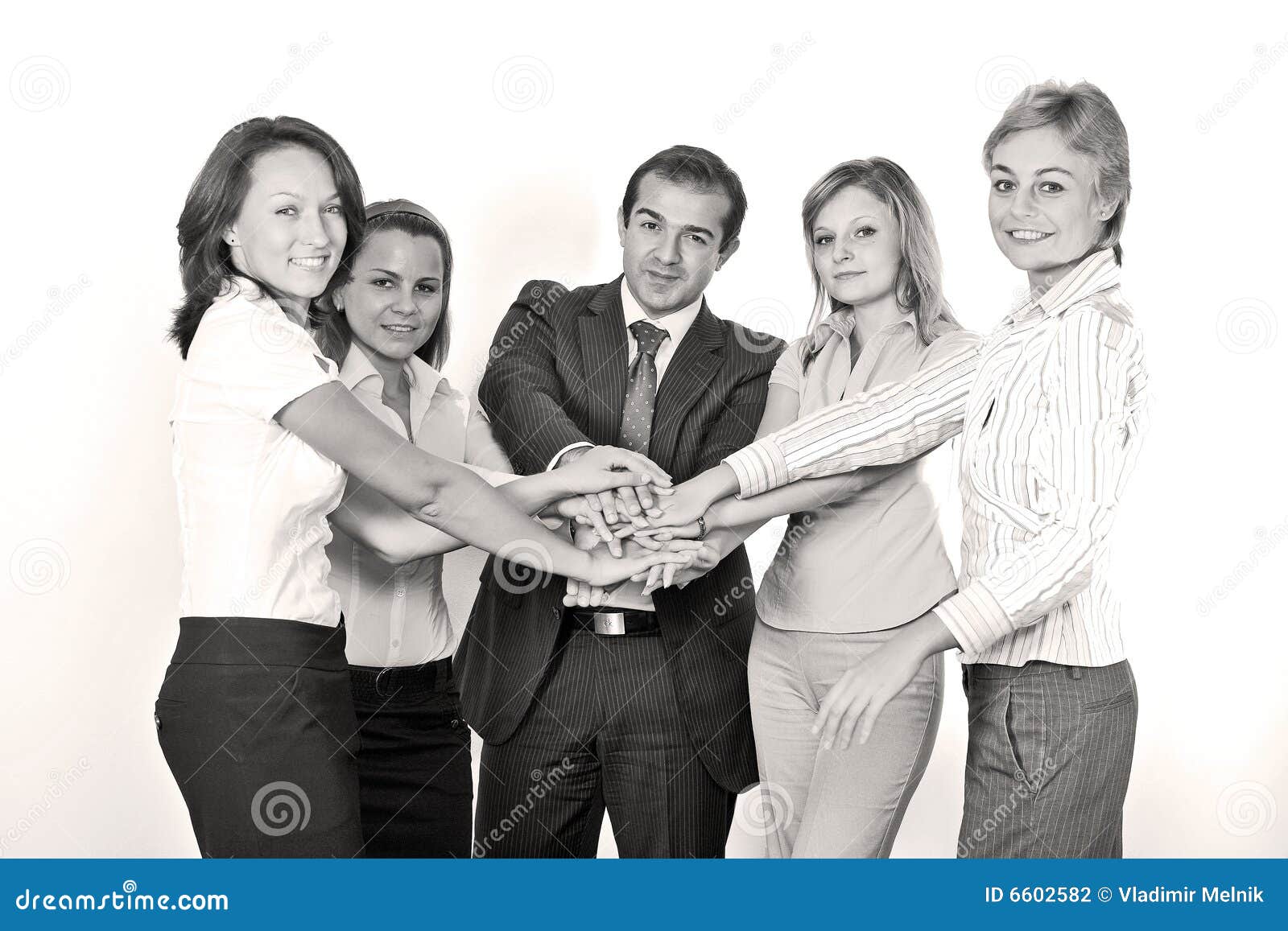 Successful business team stock photo. Image of office - 6602582