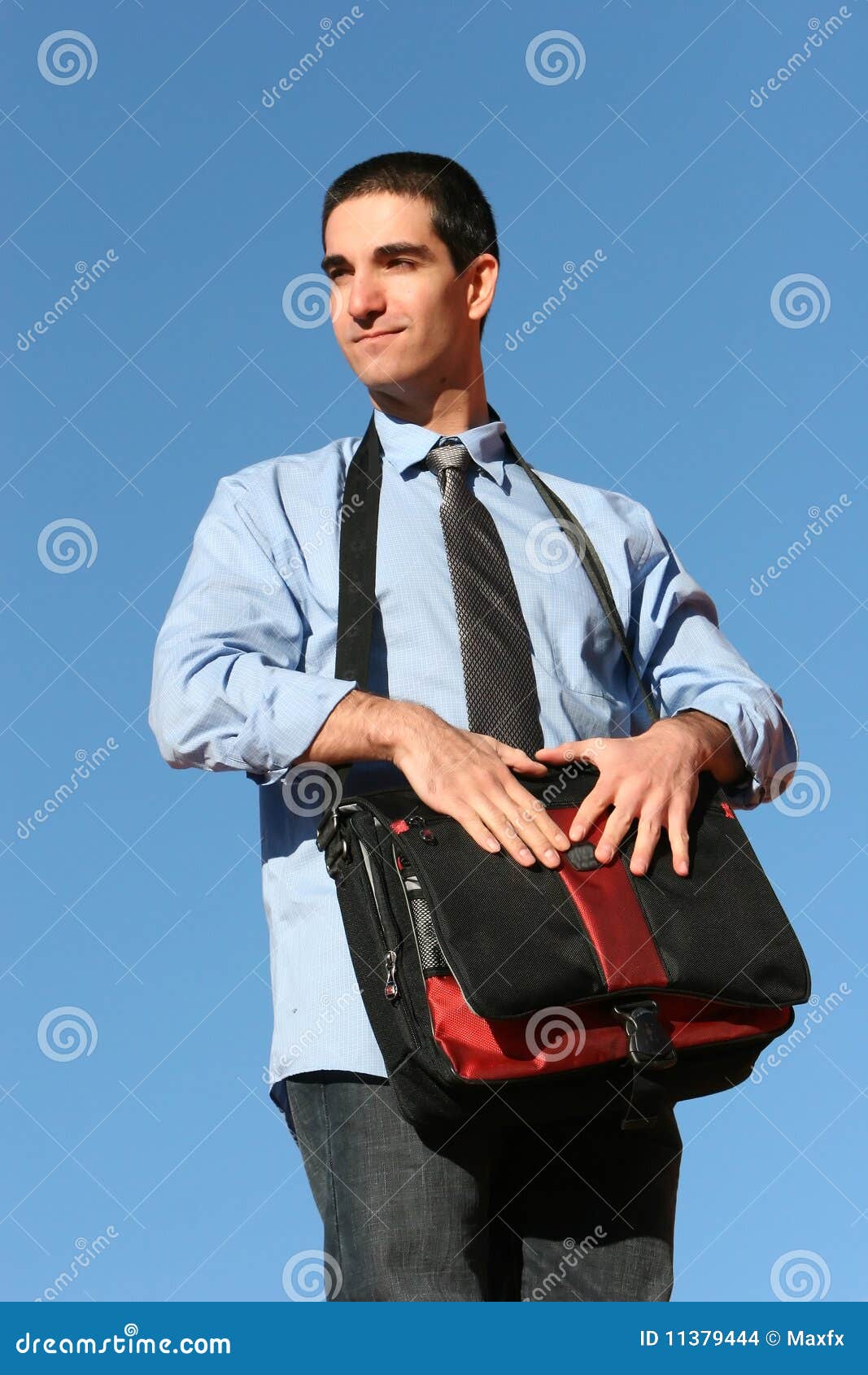Successful businessman stock photo. Image of laptop, successful - 11379444