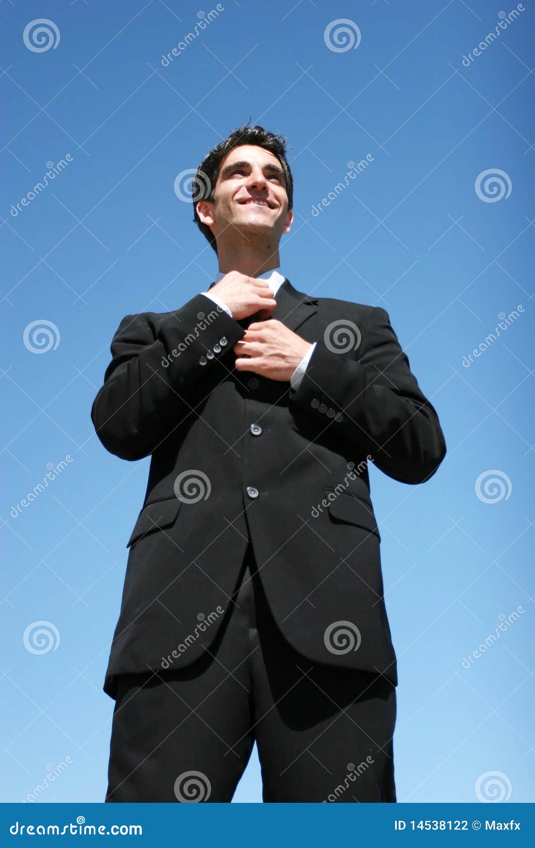 Successful businessman stock photo. Image of executive - 14538122