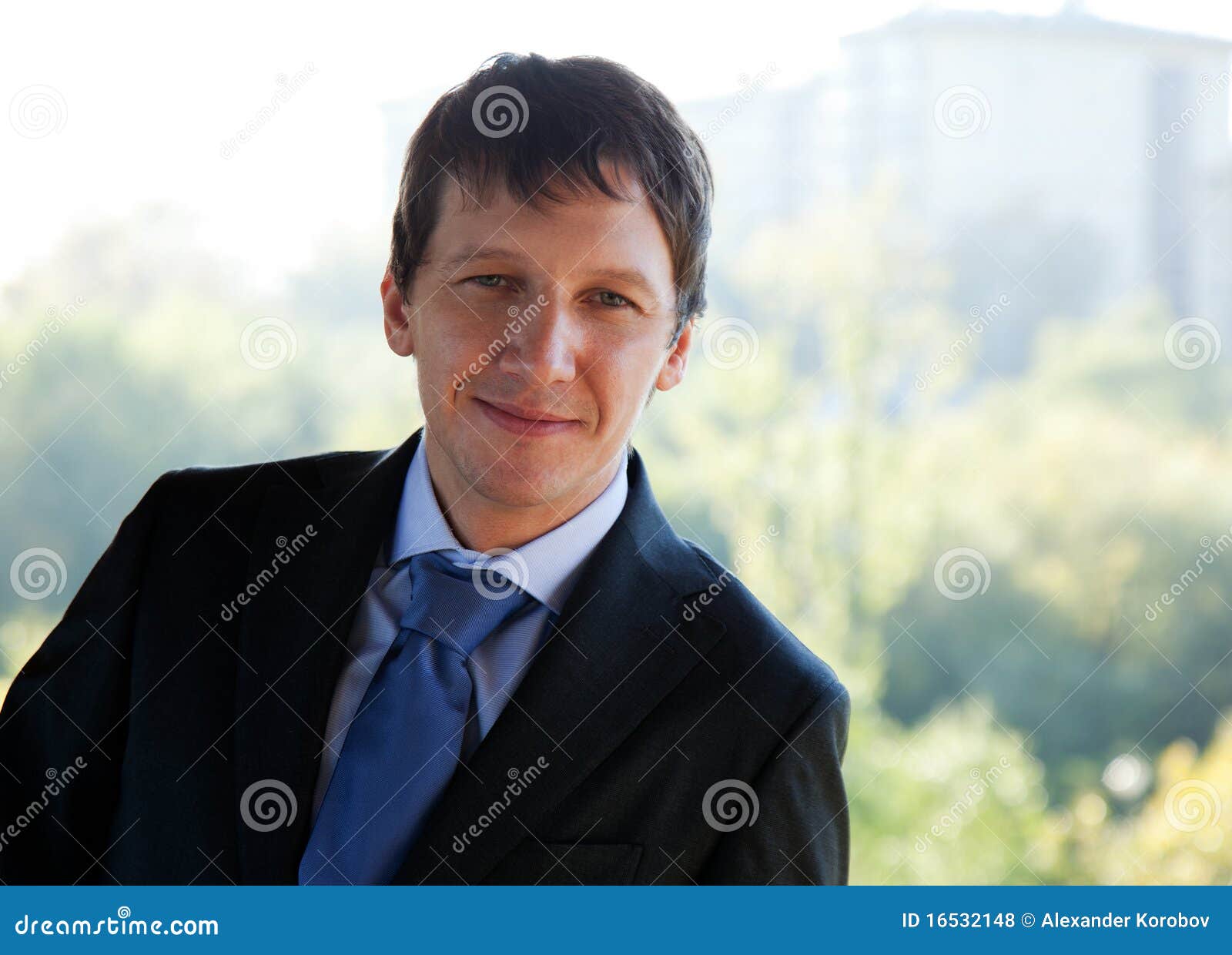Successful businessman stock photo. Image of field, green - 16532148