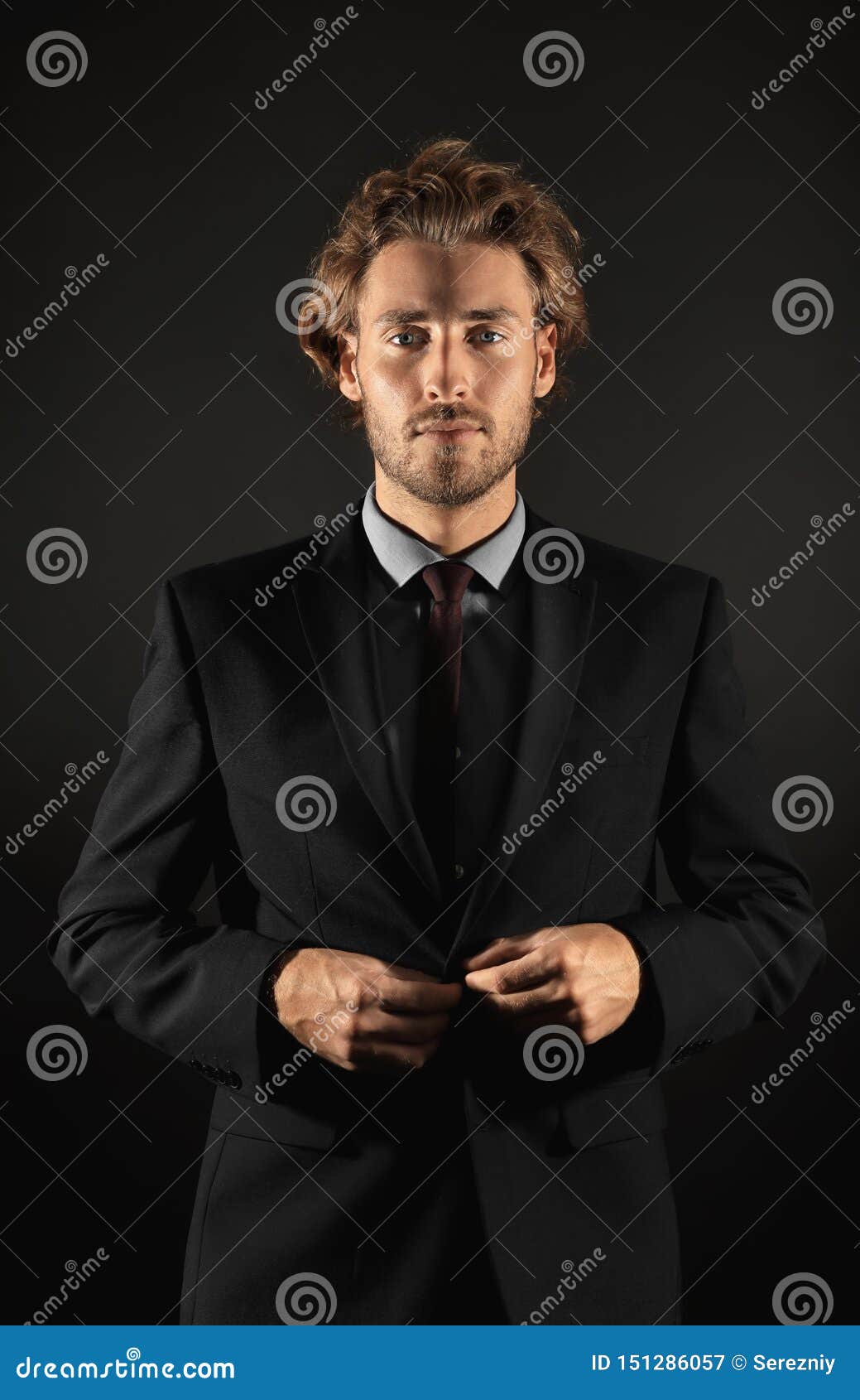 Successful Businessman on Dark Background Stock Image - Image of male ... Successful Businessman on Dark Background Stock Image - Image of male ...