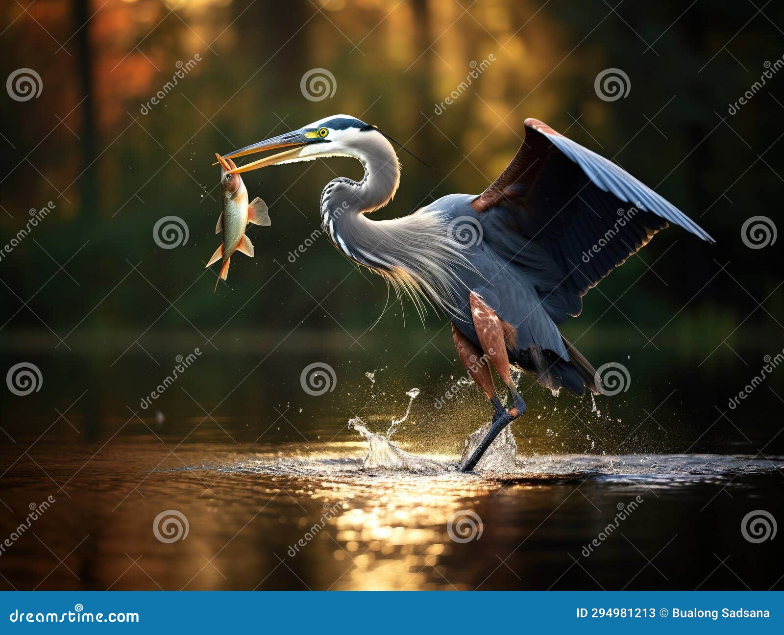 Successful Catch stock illustration. Illustration of tools - 294981213