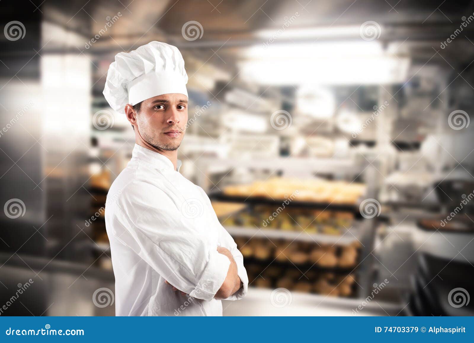 Successful chef stock image. Image of cook, professional - 74703379