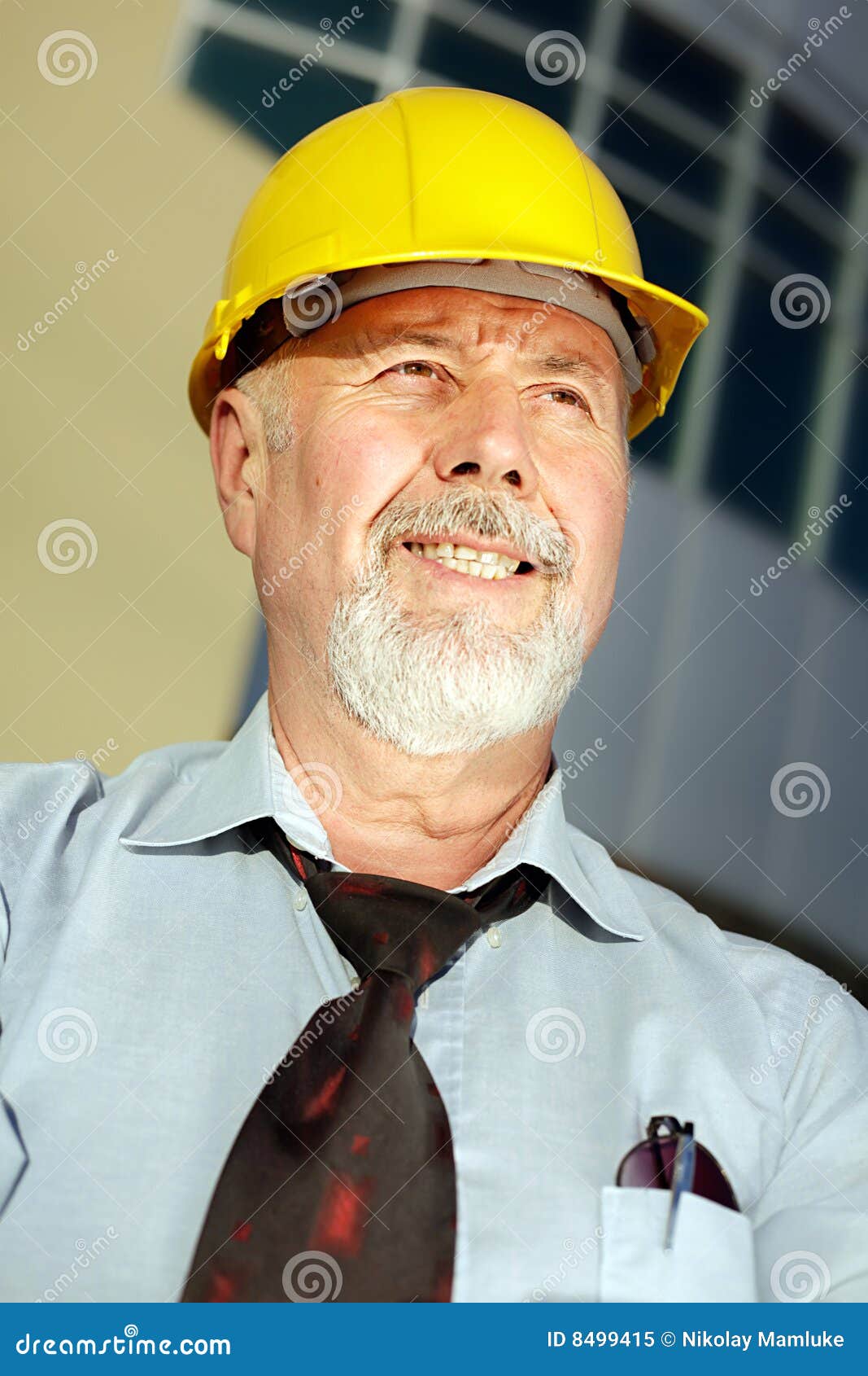 Successful engineer stock image. Image of office, happy - 8499415