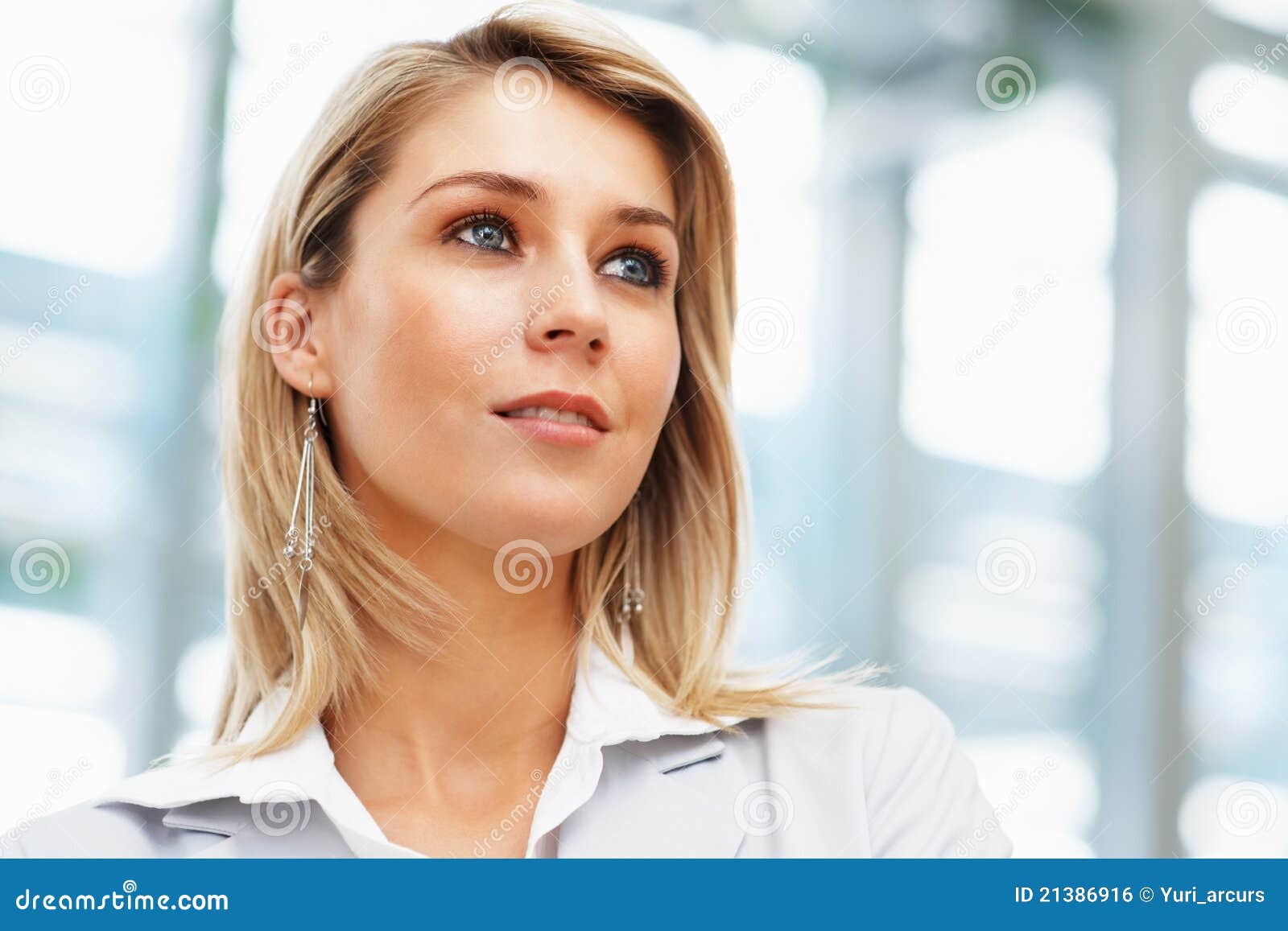 Successful Female Executive Stock Photo - Image of idea, looking: 21386916