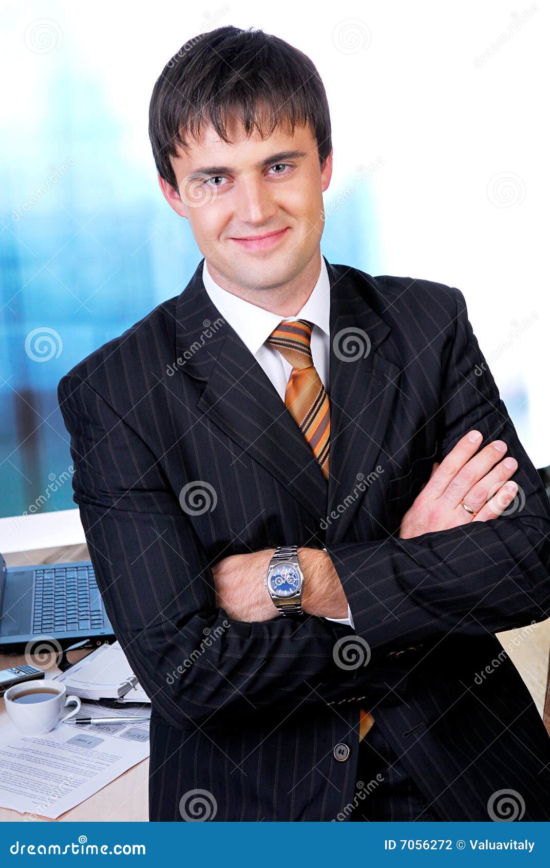Successful leader stock photo. Image of representative - 7056272