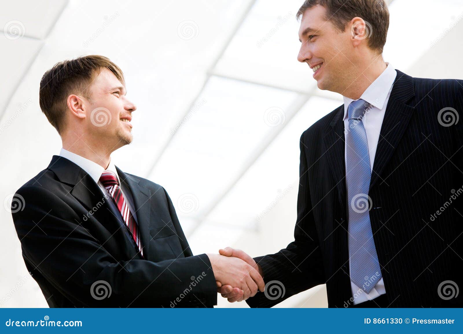 Successful partnership stock photo. Image of male, hand - 8661330