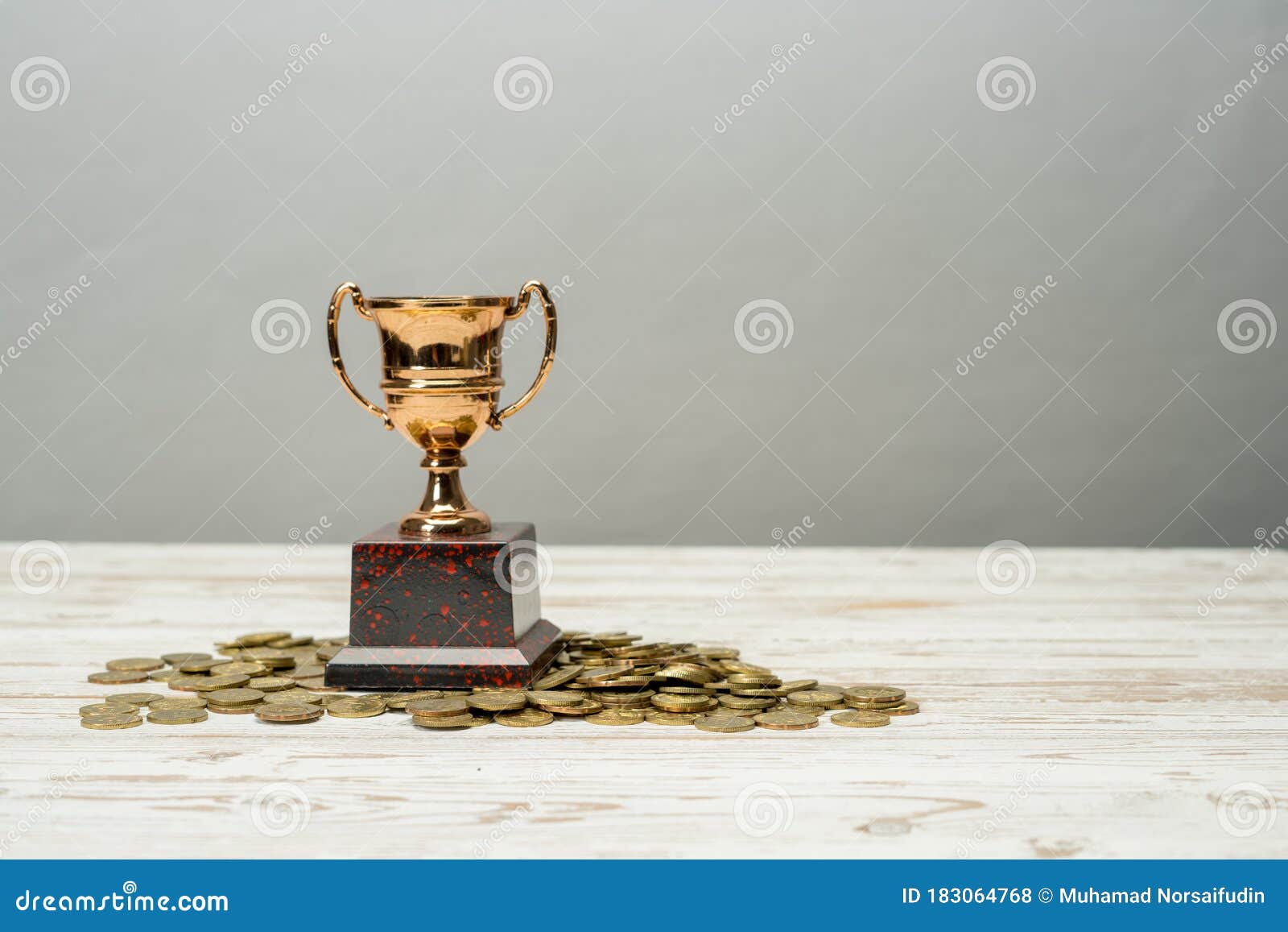 Successful saving plan. stock photo. Image of infographic - 183064768