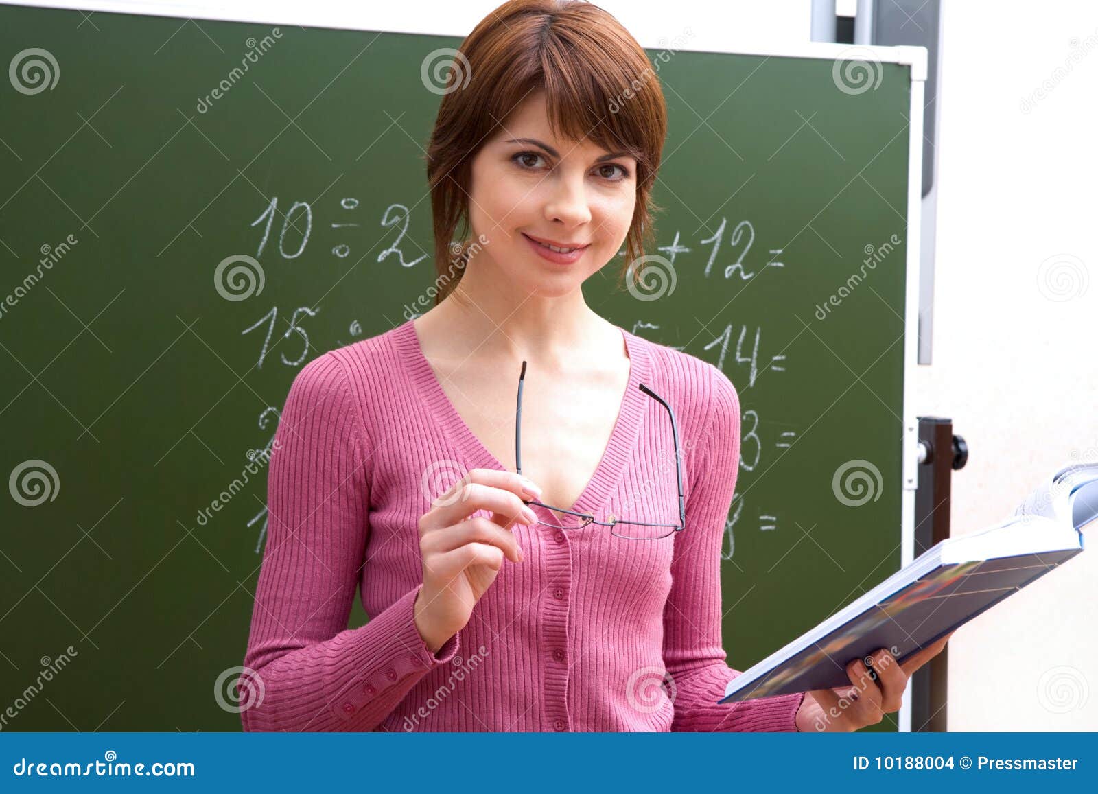 Successful teacher stock photo. Image of lady, brunette - 10188004