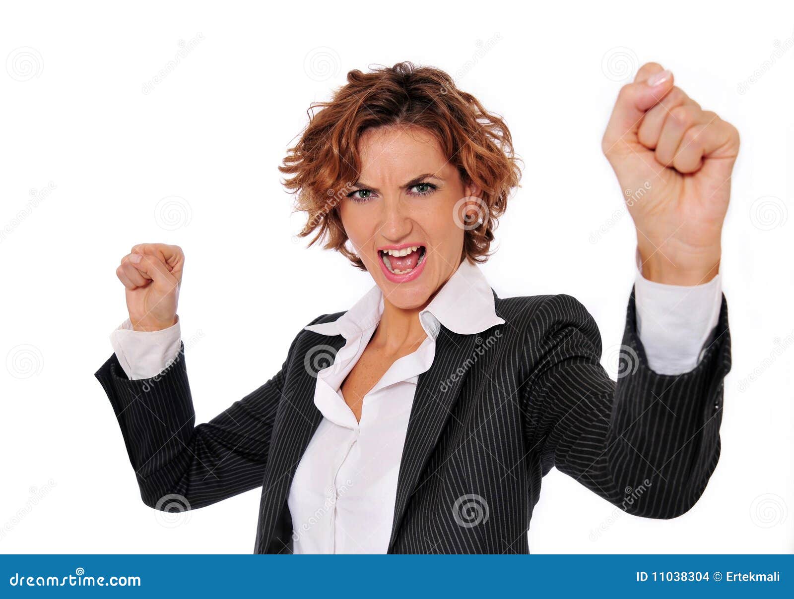 Successful Woman stock photo. Image of casual, hand, girl - 11038304