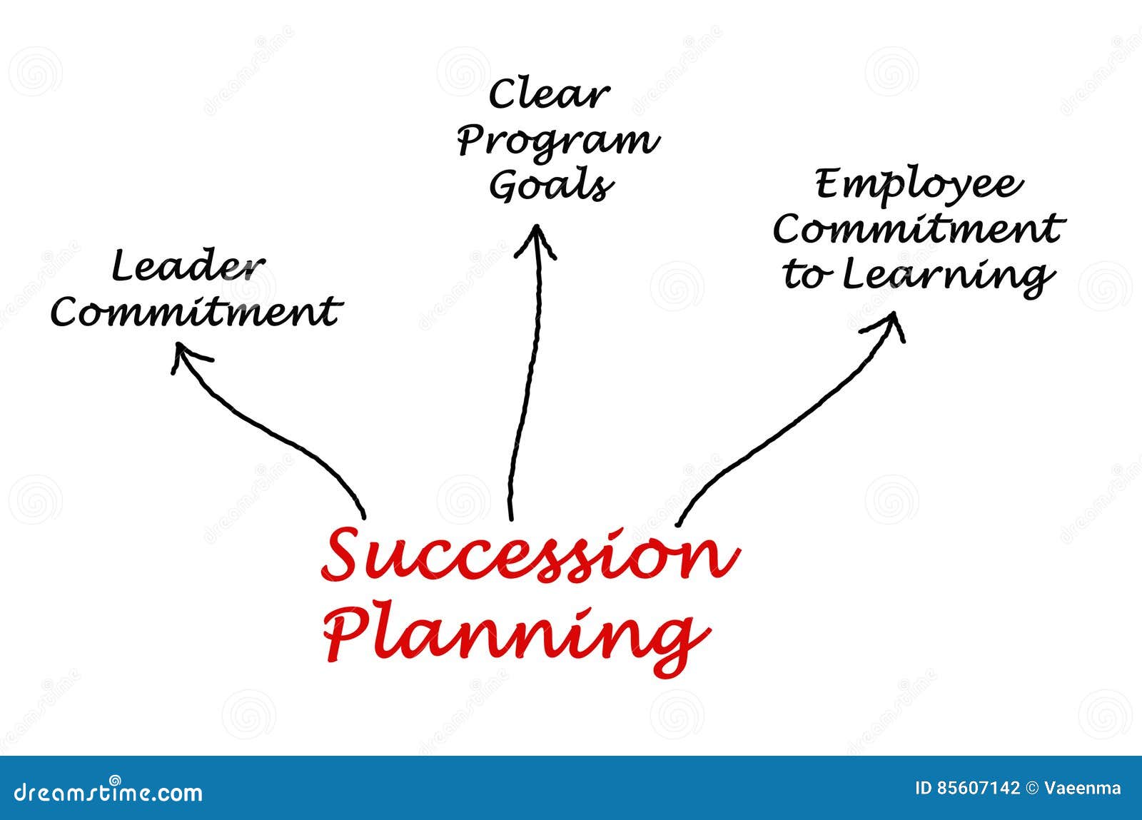 Succession Planning Stock Photo | CartoonDealer.com #85607142