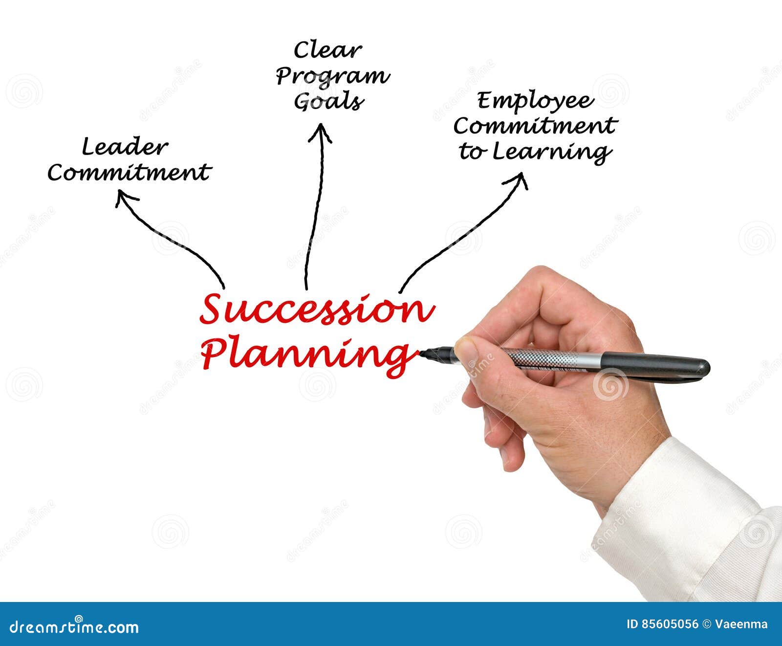 Succession Planning stock photo. Image of expert, presentation - 85605056