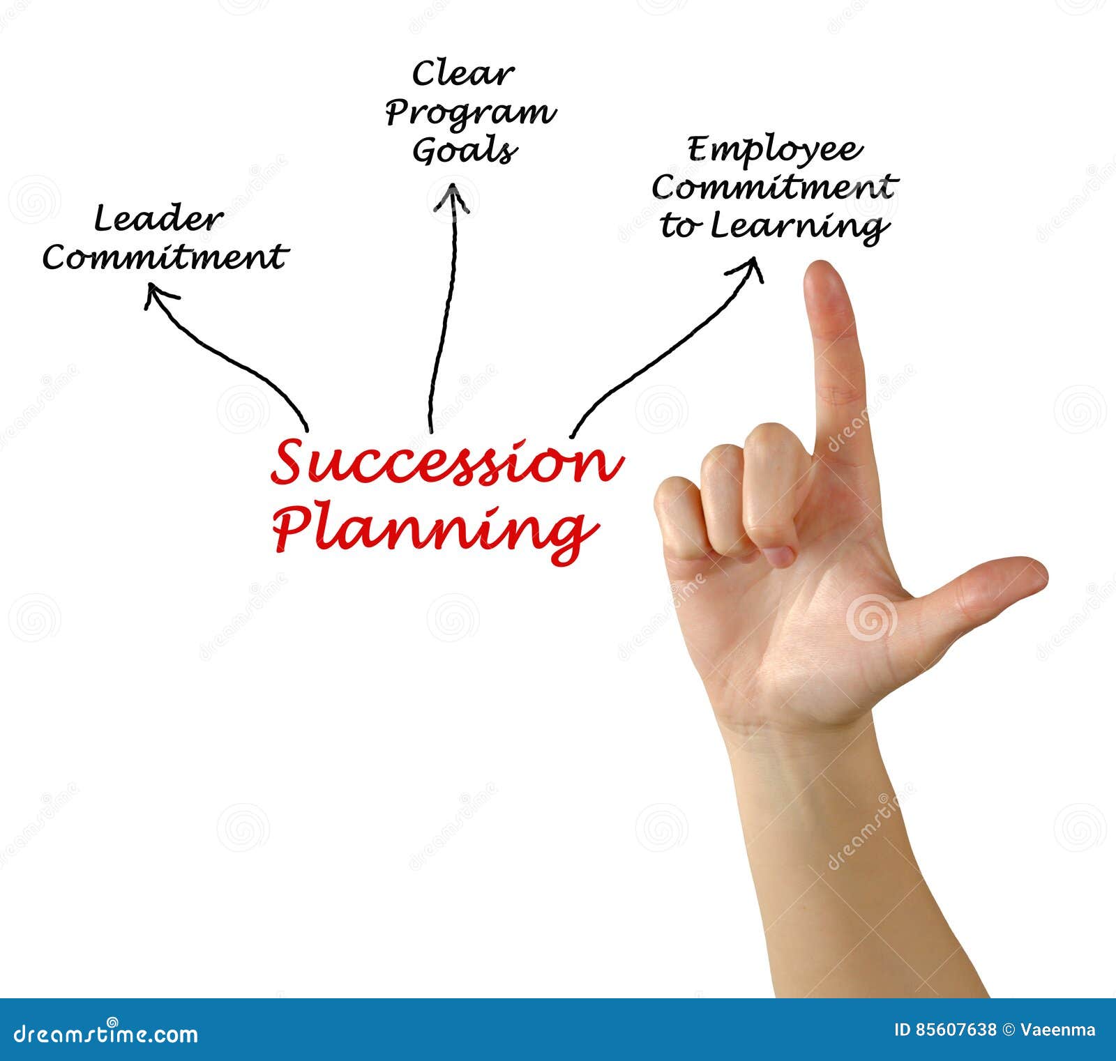 Succession Planning stock photo. Image of program, learning - 85607638