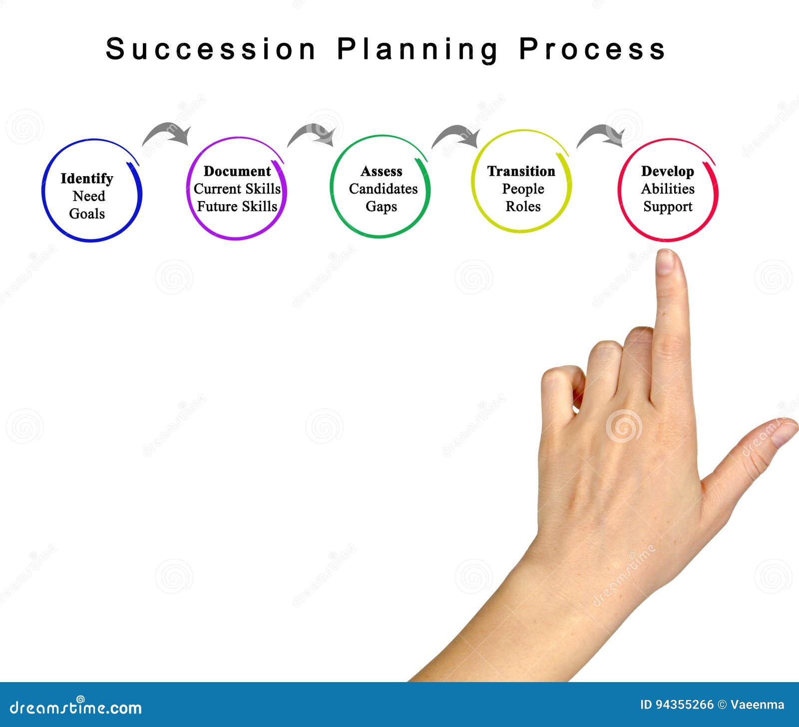 Succession Planning Process Stock Photo - Image of diagram, manager ...