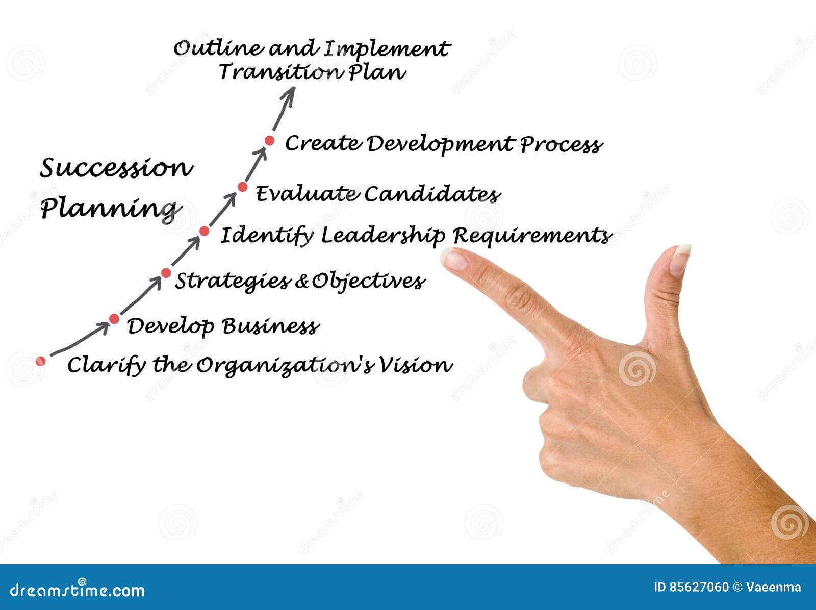 Succession Planning stock photo. Image of development - 85627060