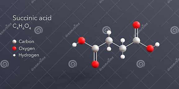 Succinic Acid Molecule 3d Rendering, Flat Molecular Structure with ...