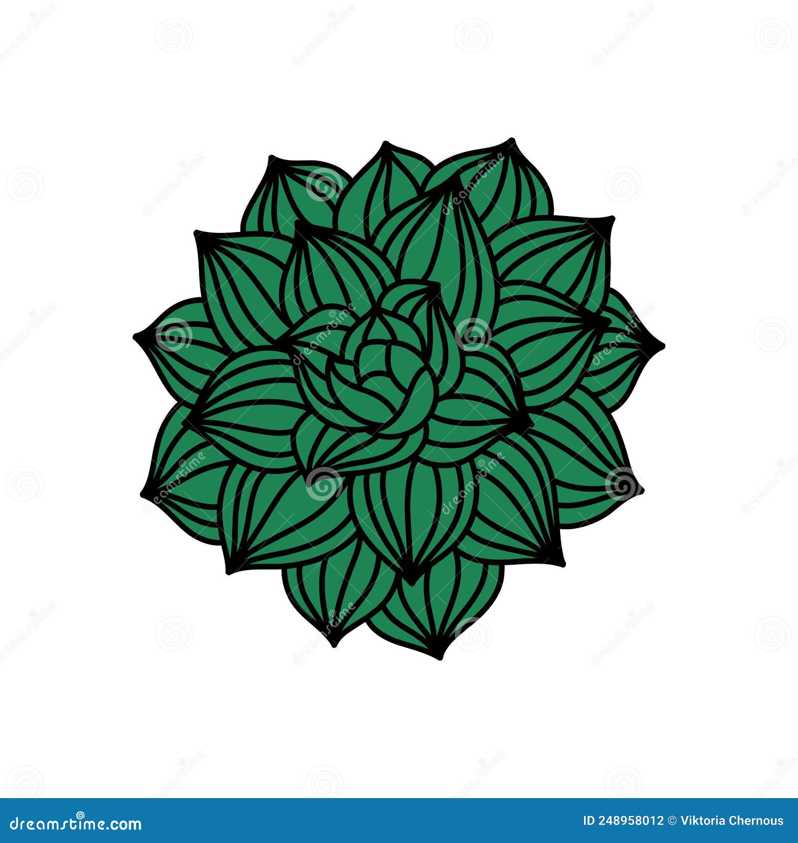 Succulent Doodle Icon, Vector Color Line Illustration Stock Vector ...